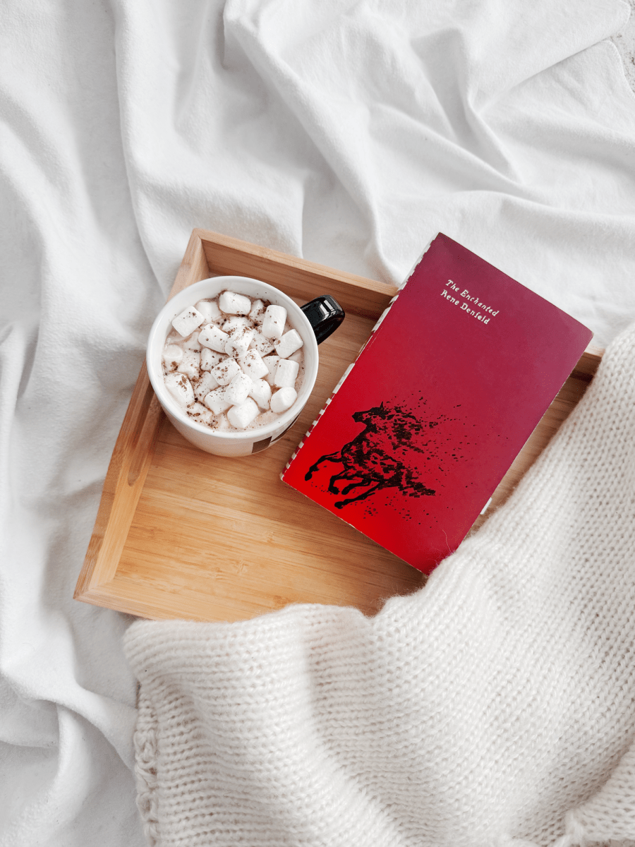 The Enchanted, by Rene Denfeld – Kemy's bookshelf